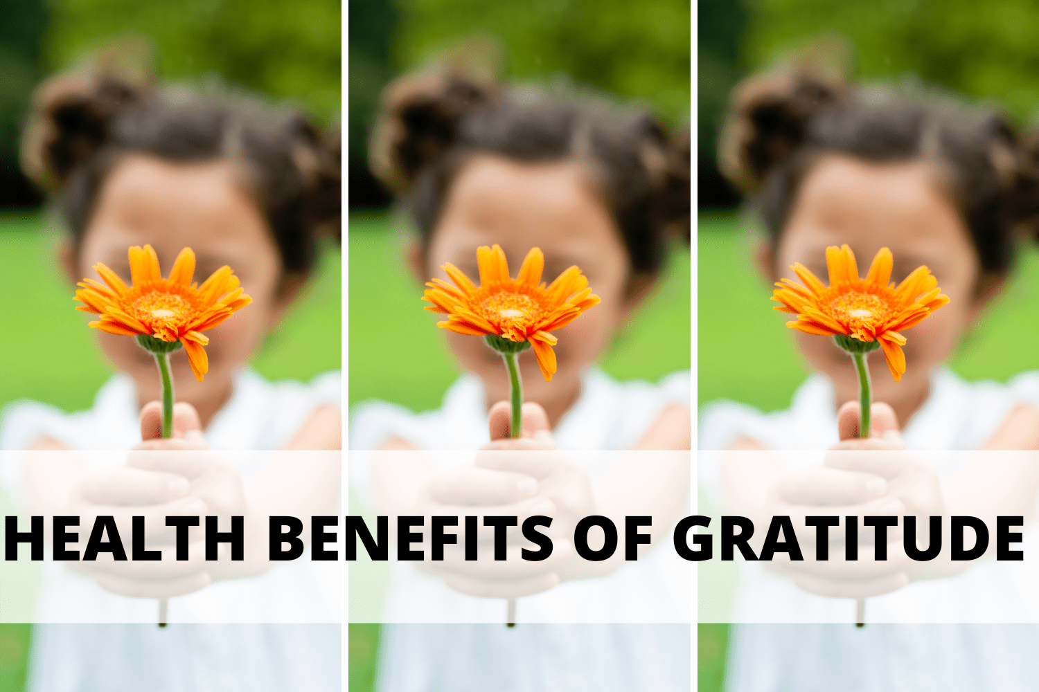 5 Life Changing Health Benefits of Gratitude and How to Start Today ...